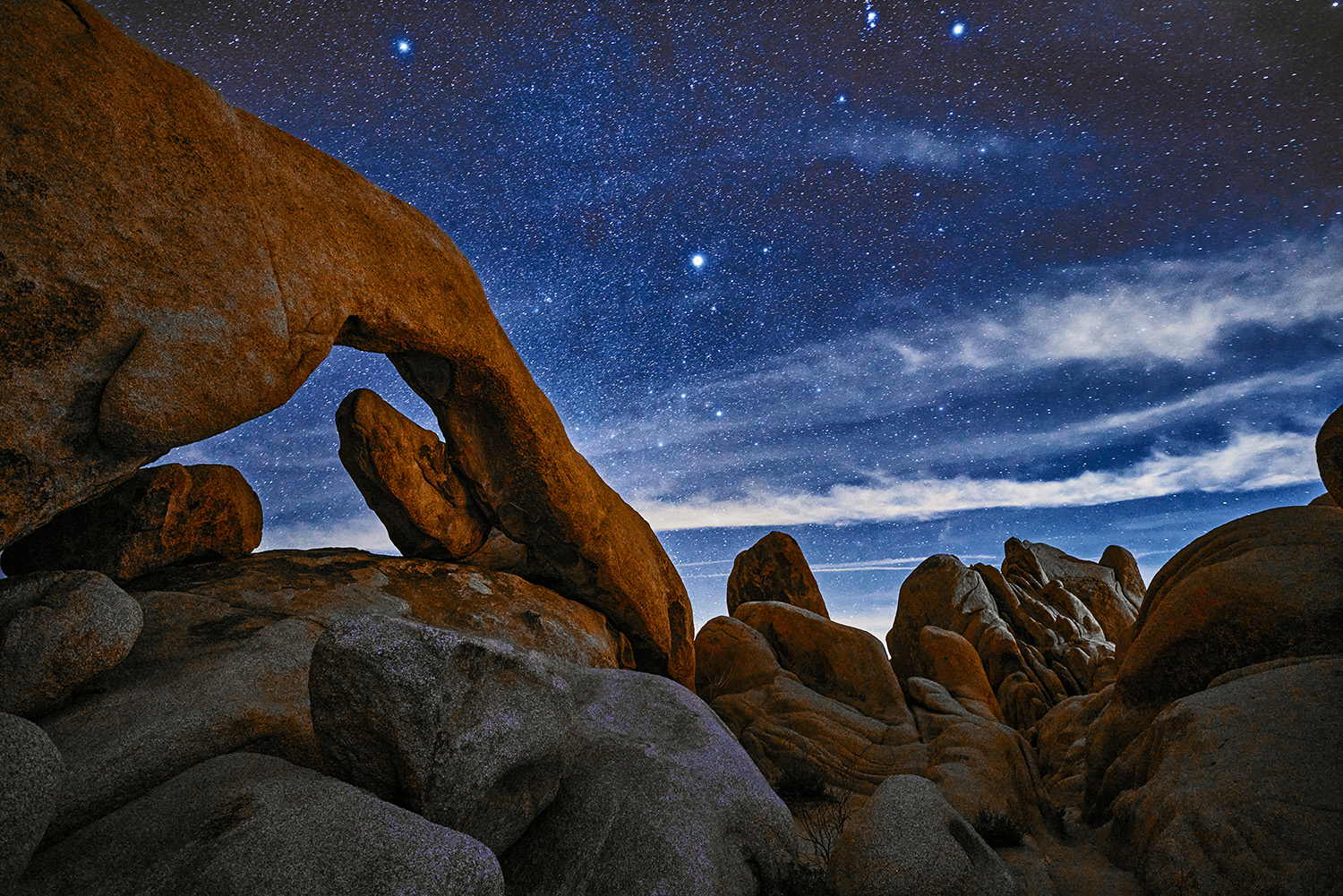 Joshua Tree National Park | 絶景が堪能できるジョシュアツリーの一大自生地 – plusroadtrip