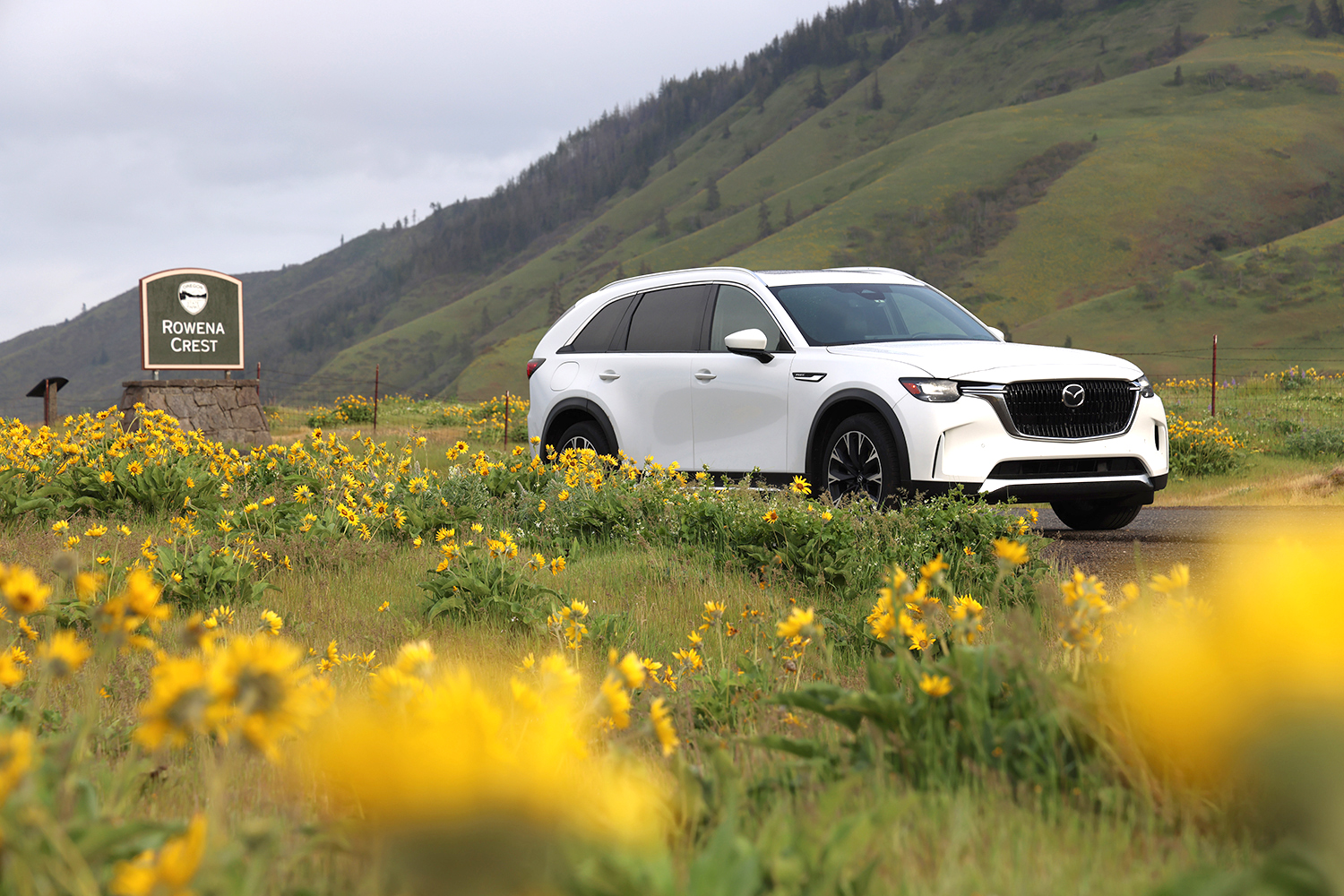 Rowena Crest Viewpoint｜コロンビア・リバー渓谷きっての絶景ポイント – plusroadtrip